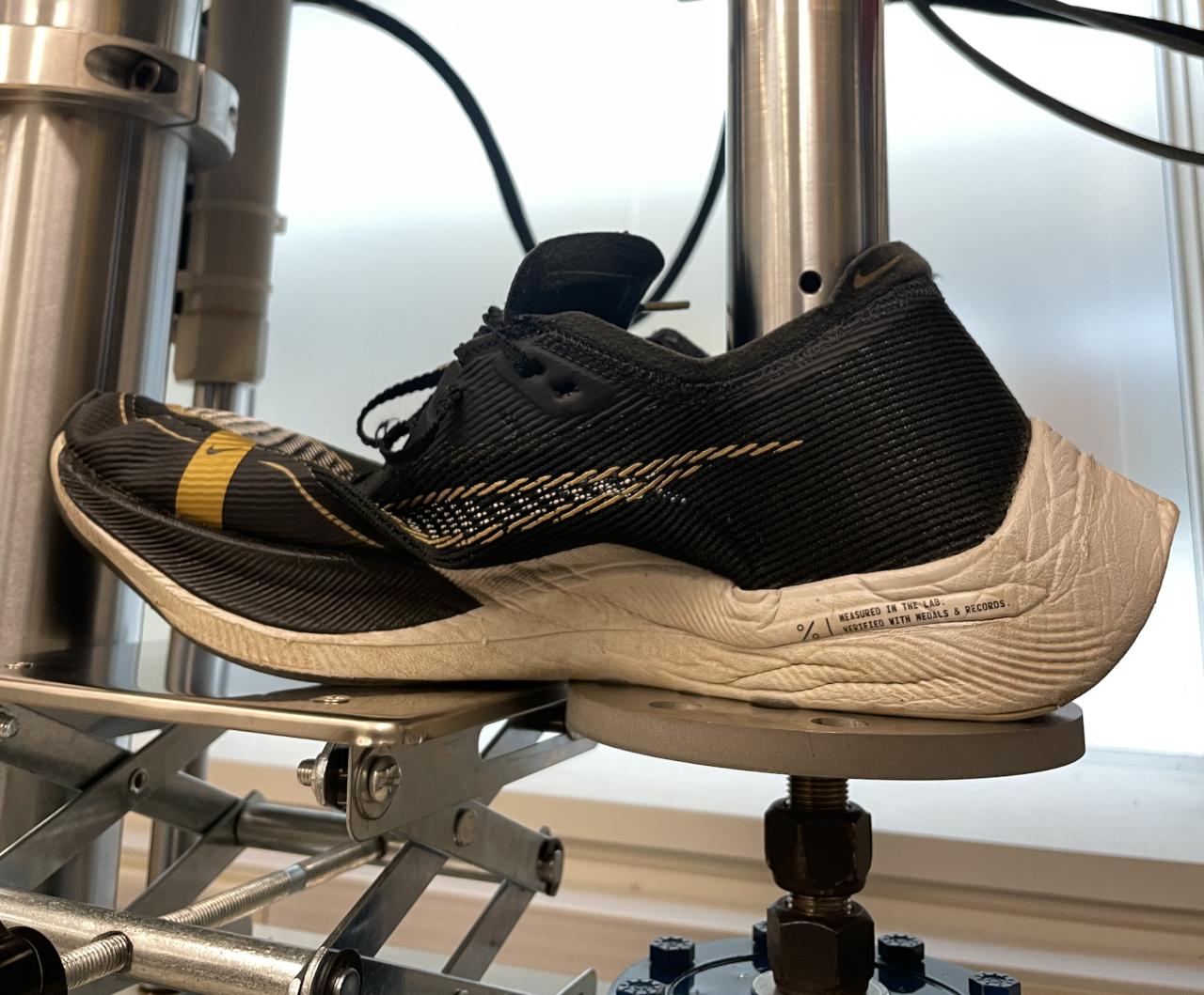 Metabolic and mechanical consequences of running shoes | U-M HPSSC